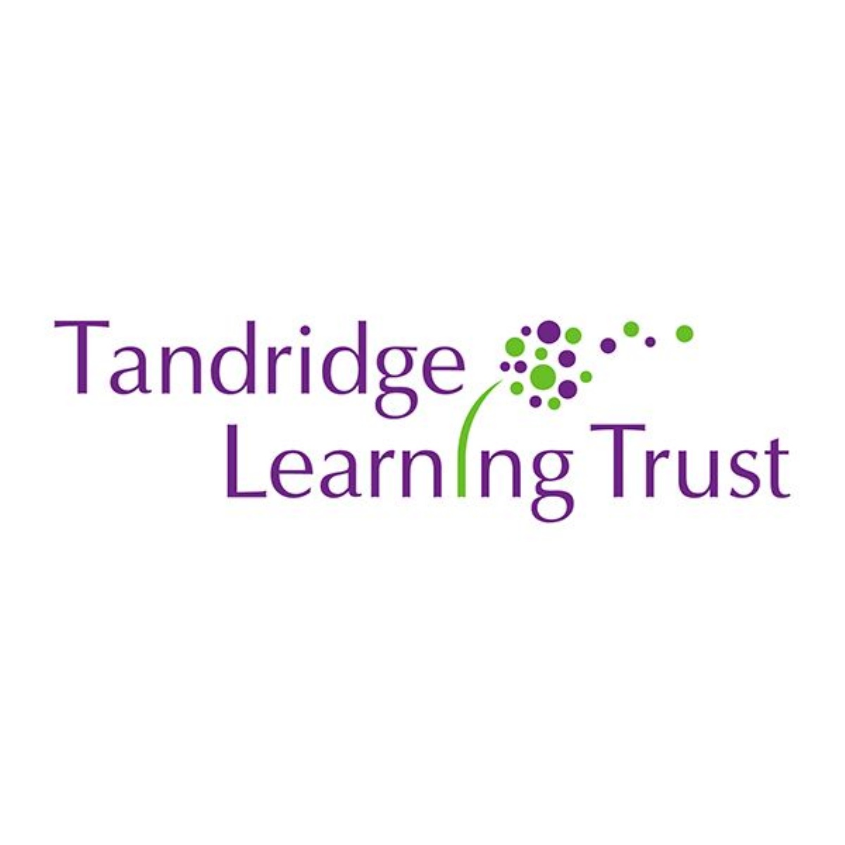 Tandridge Learning Trust - New website